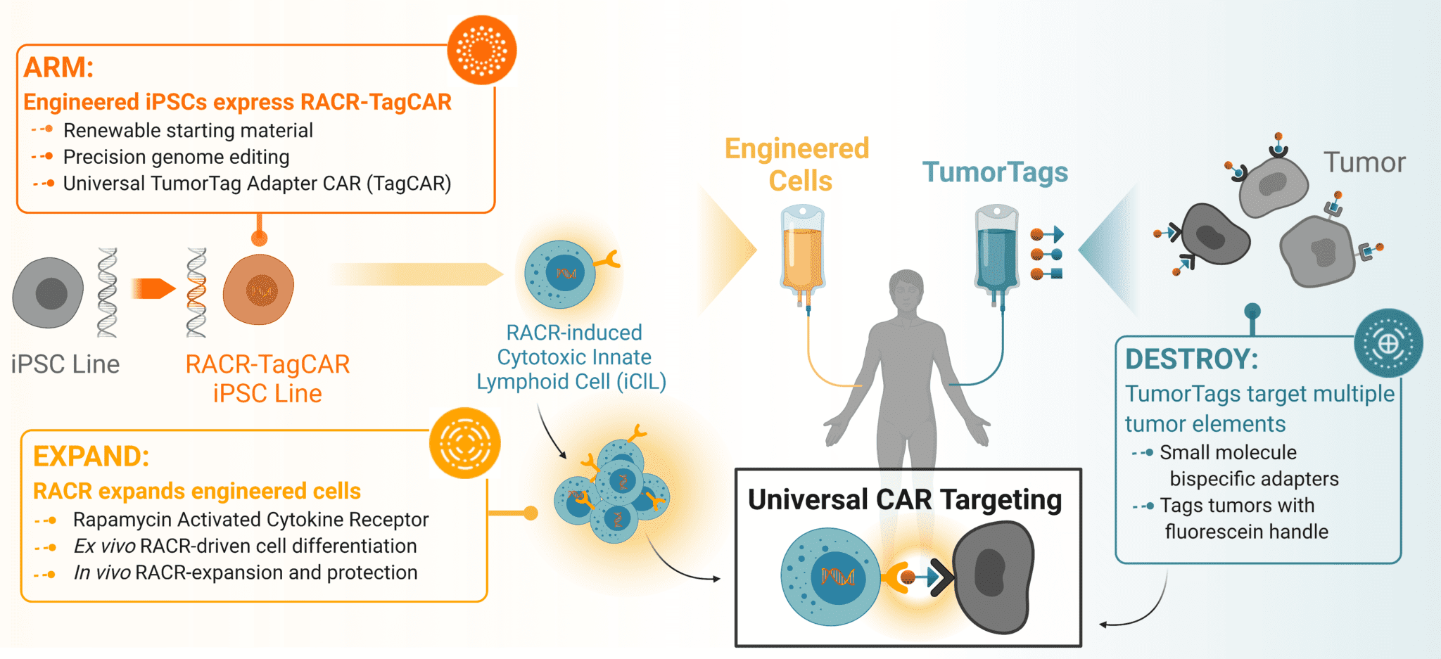 Spotlight on Umoja Biopharma’s Engineered induced Pluripotent Stem Cells (iPSCs) Platform ...